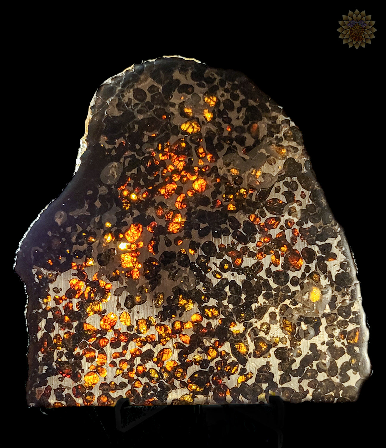 Sericho Pallasite Meteorite Kenya, Africa – The Sensi Side Gallery