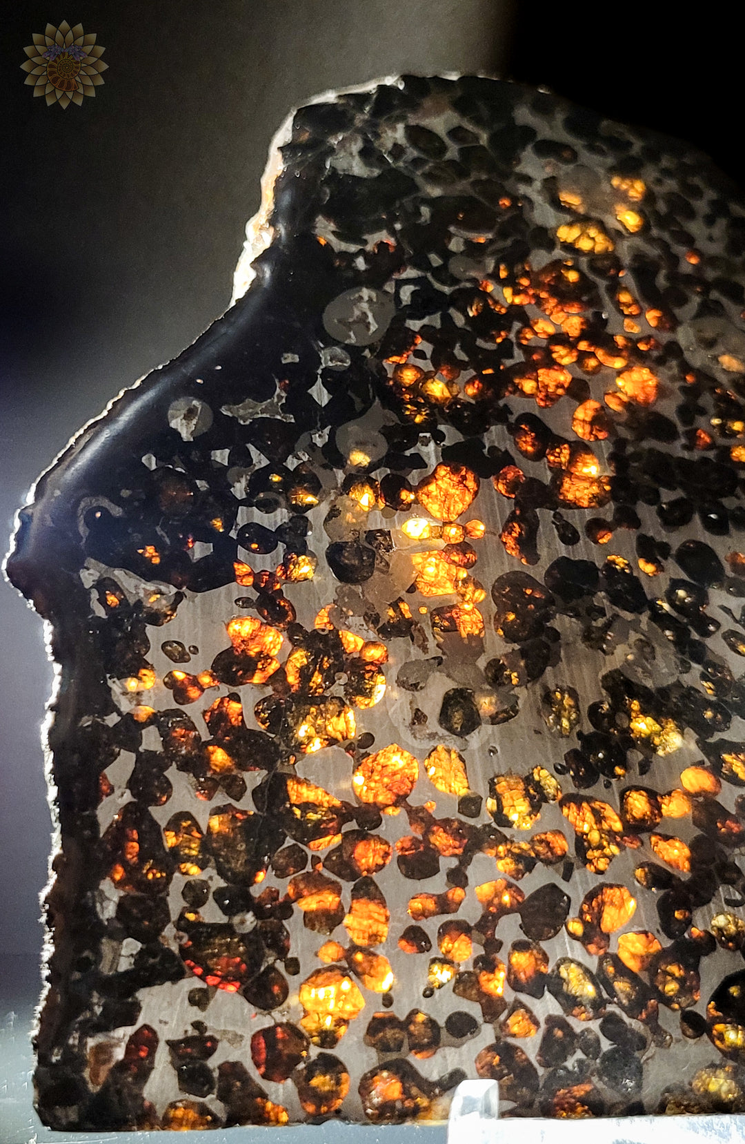 Sericho Pallasite Meteorite Kenya, Africa – The Sensi Side Gallery