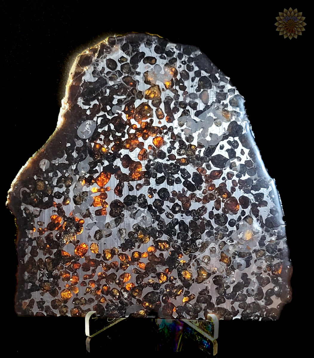 Sericho Pallasite Meteorite Kenya, Africa – The Sensi Side Gallery